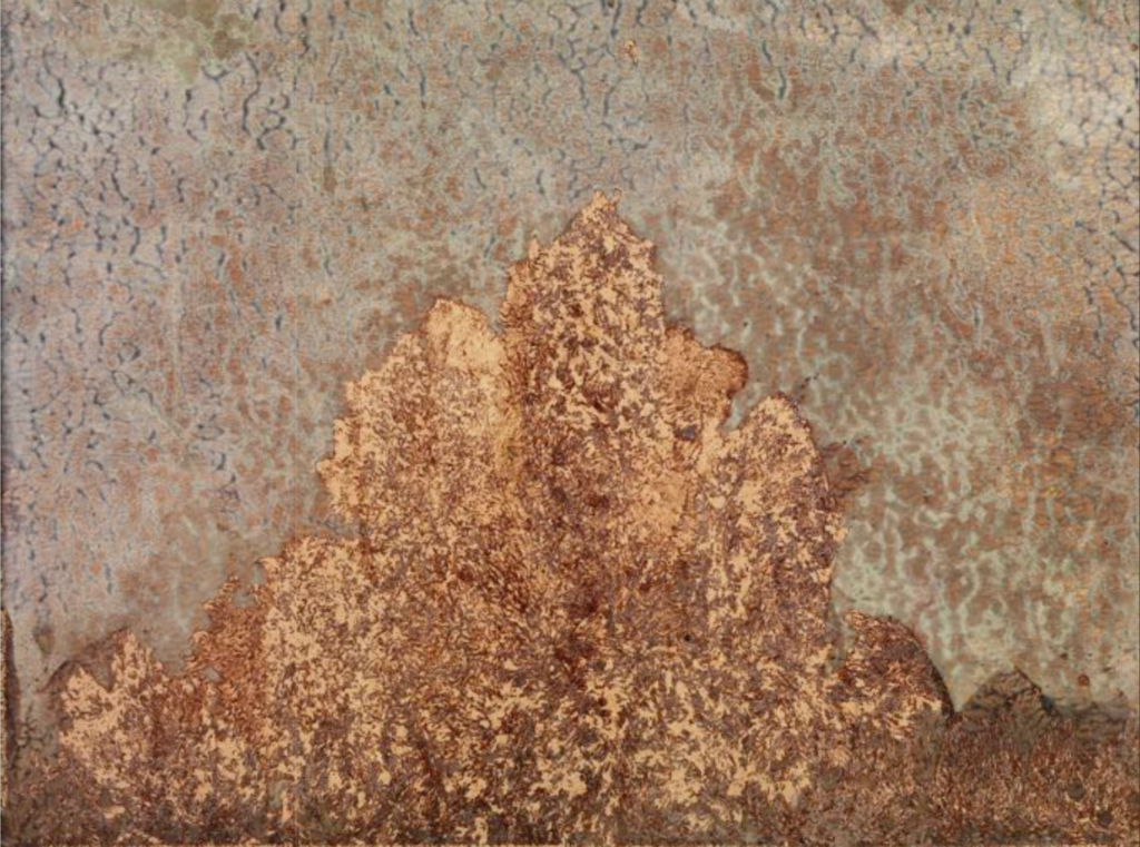 L’animal à l’œuvre : comment faire avec les souris ? - Anne-Sophie Miclo